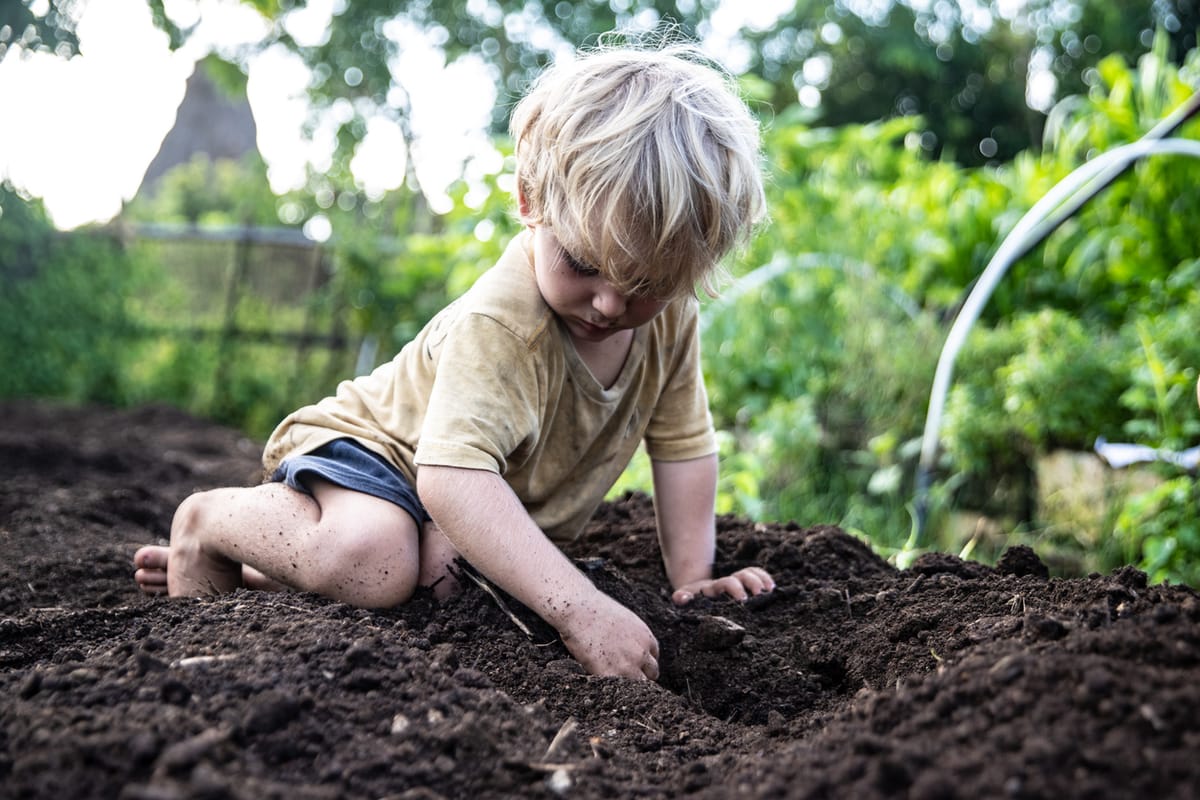 The Importance of Microbes: Let Kids Eat Dirt!